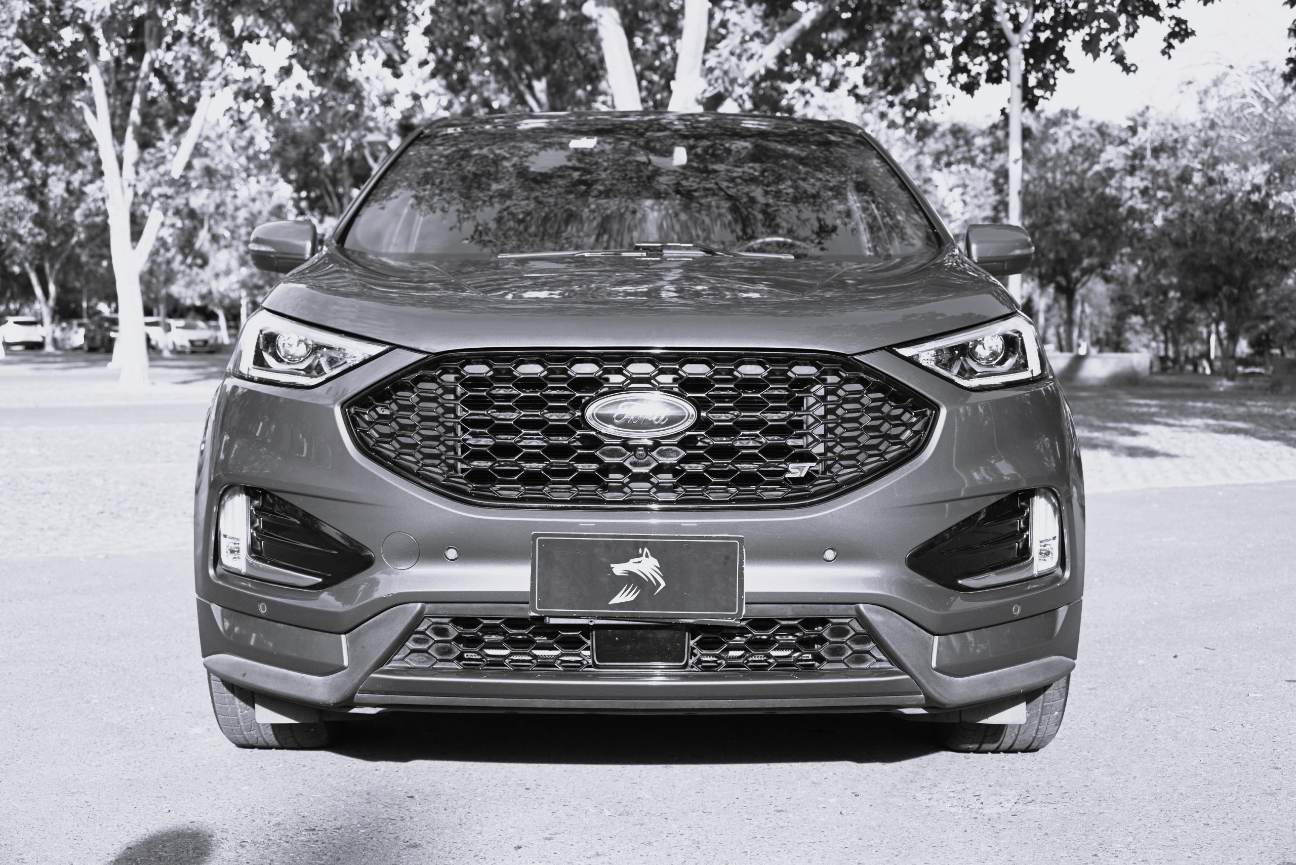Ford Edge ST – Wolf Motors
