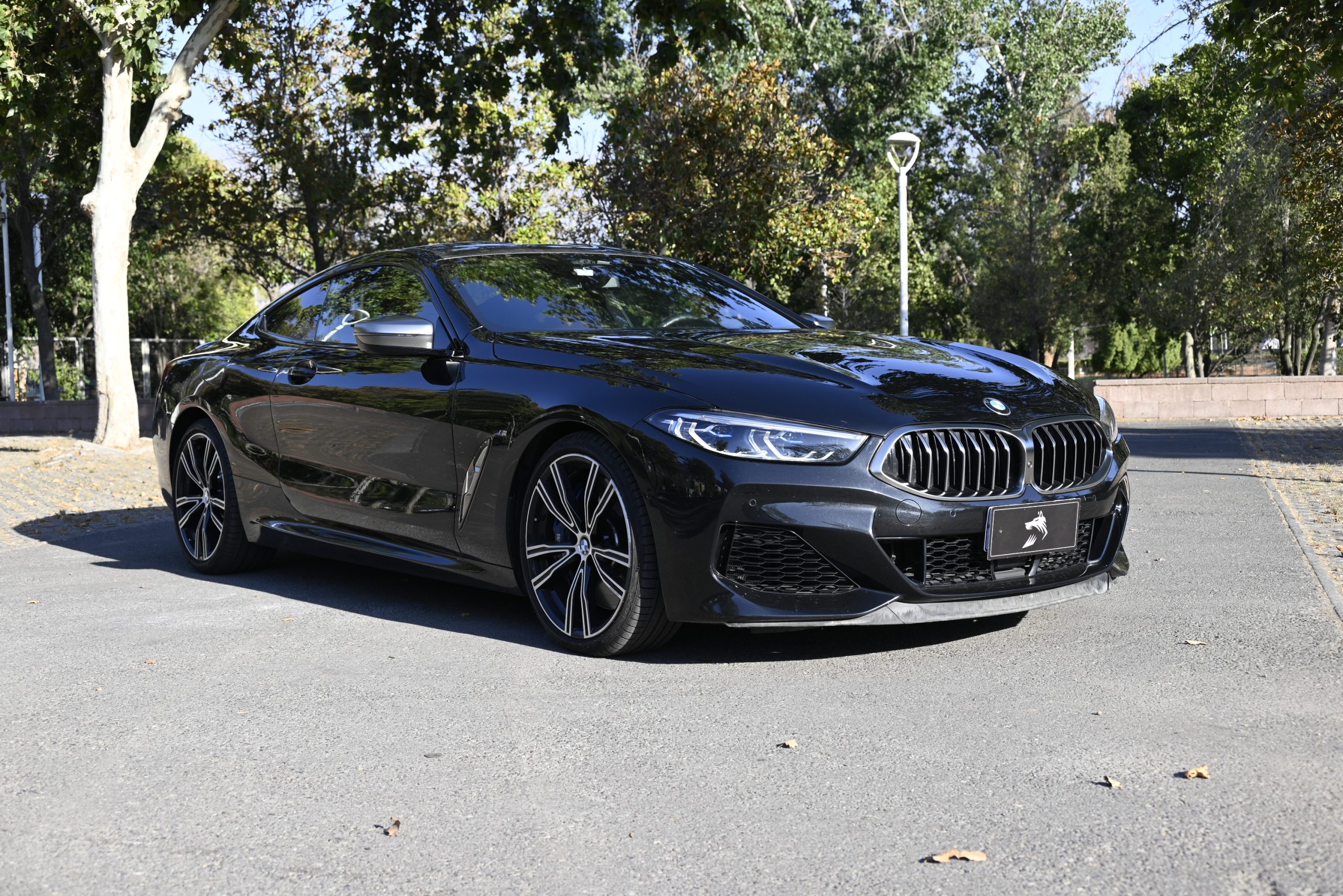 BMW M 850i Coupe Xdrive – Wolf Motors