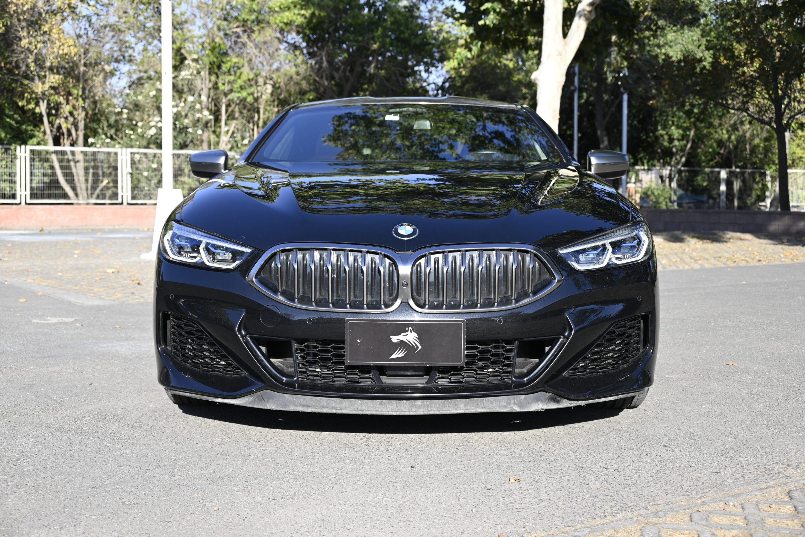 BMW M 850i Coupe Xdrive – Wolf Motors