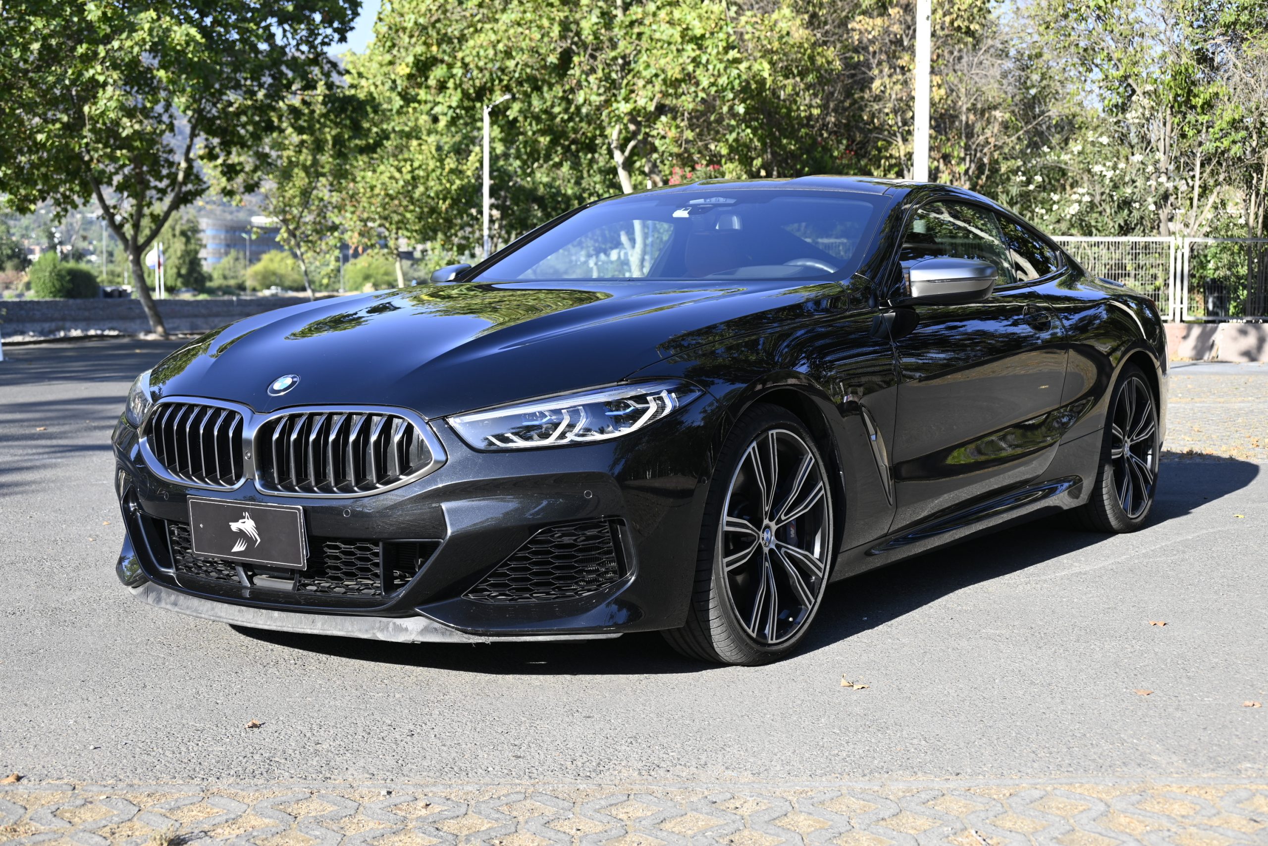 BMW M 850i Coupe Xdrive – Wolf Motors