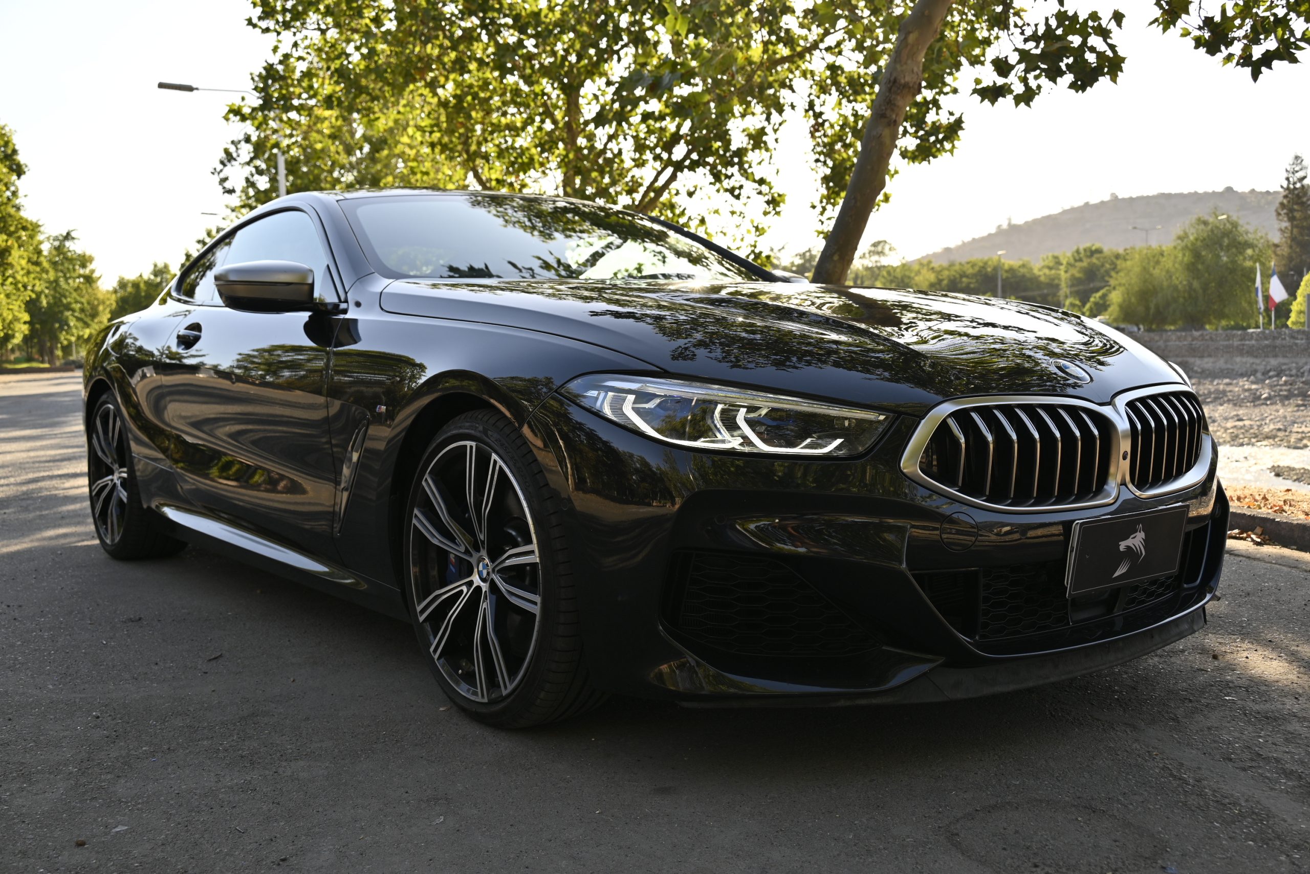 BMW M 850i Coupe Xdrive – Wolf Motors