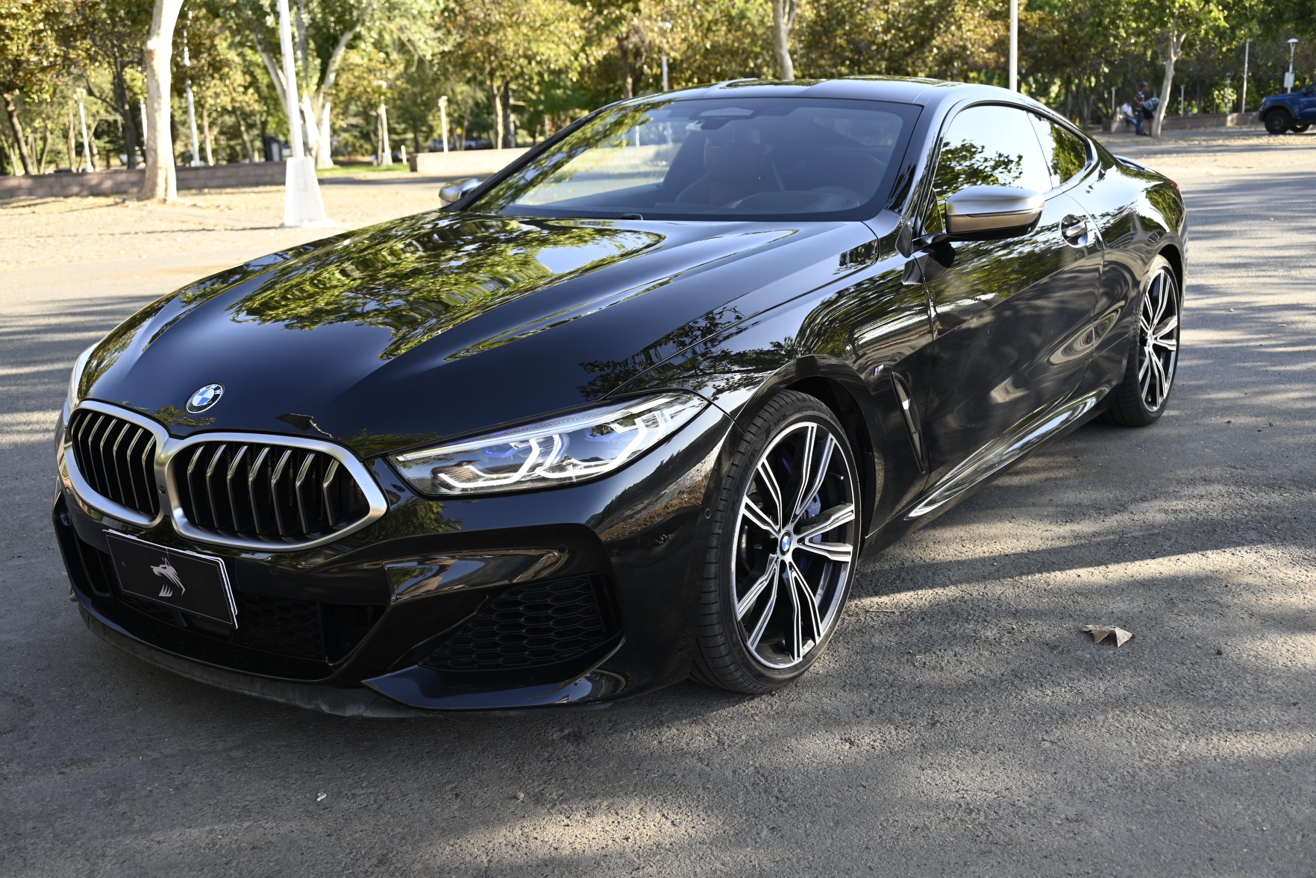BMW M 850i Coupe Xdrive – Wolf Motors