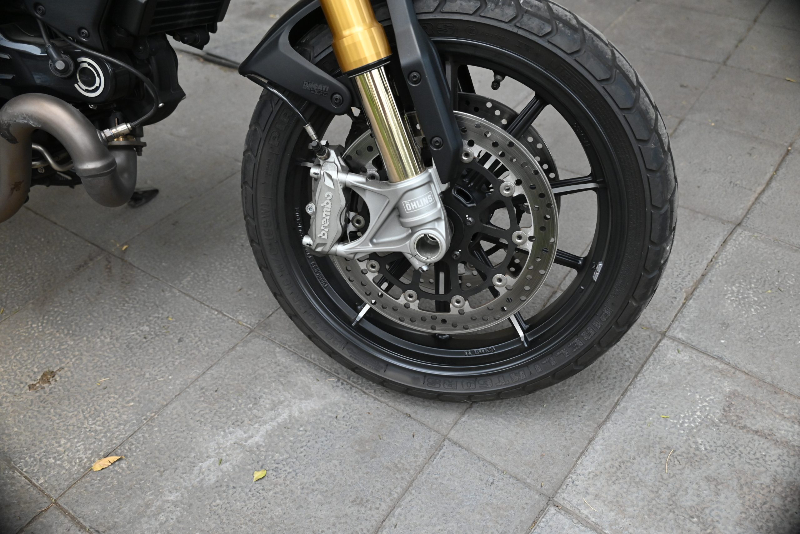 Ducati Scrambler 1100 – Wolf Motors