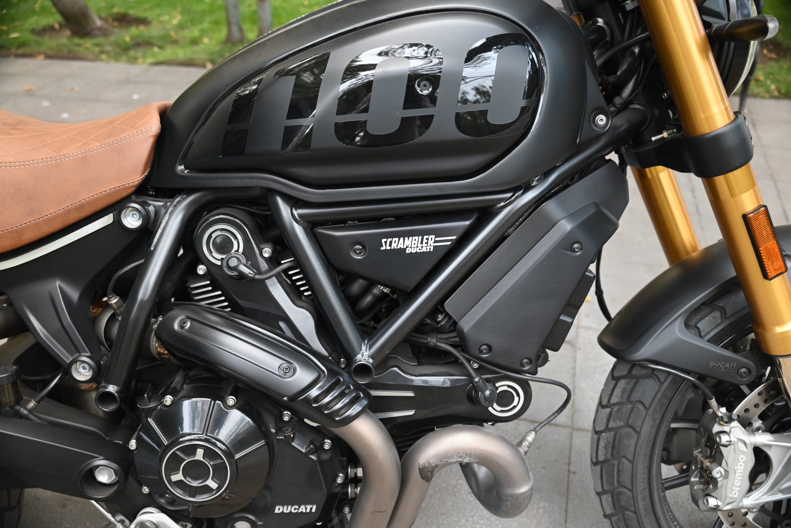 Ducati Scrambler 1100 – Wolf Motors