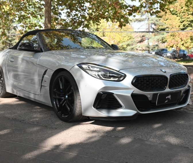 Wolf Motors