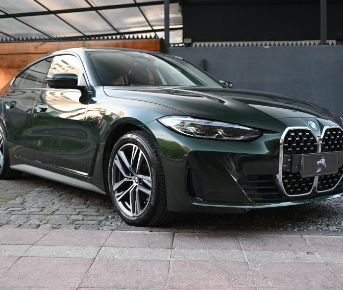 Wolf Motors